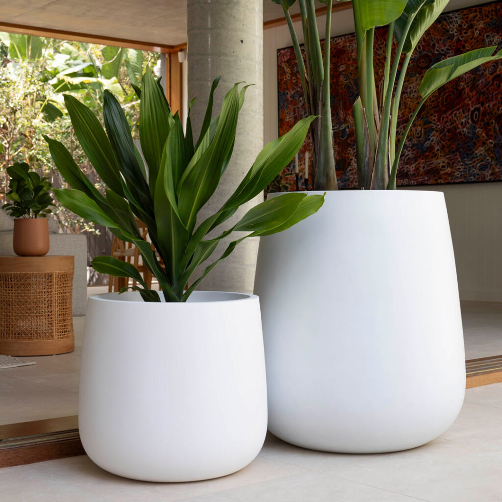 Just Add Plants | Transforming Spaces with Our Lifestyle Planters