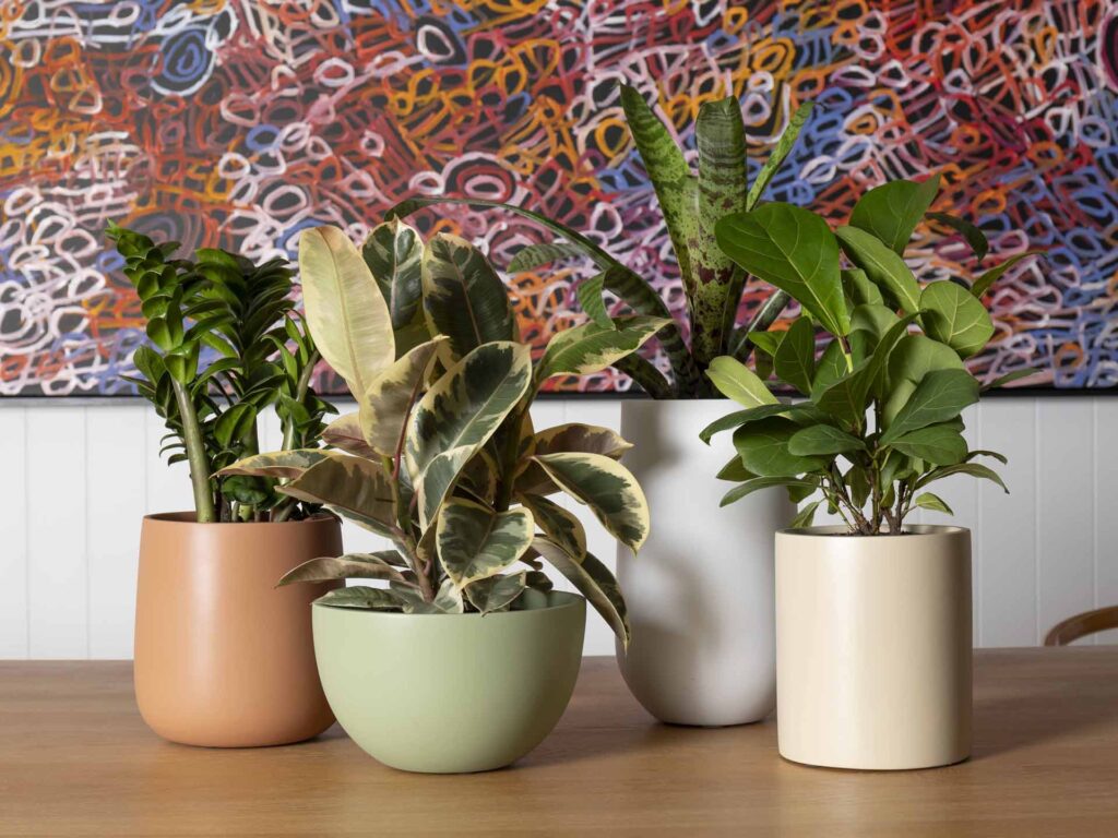 Just Add Plants | Transforming Spaces with Our Lifestyle Planters