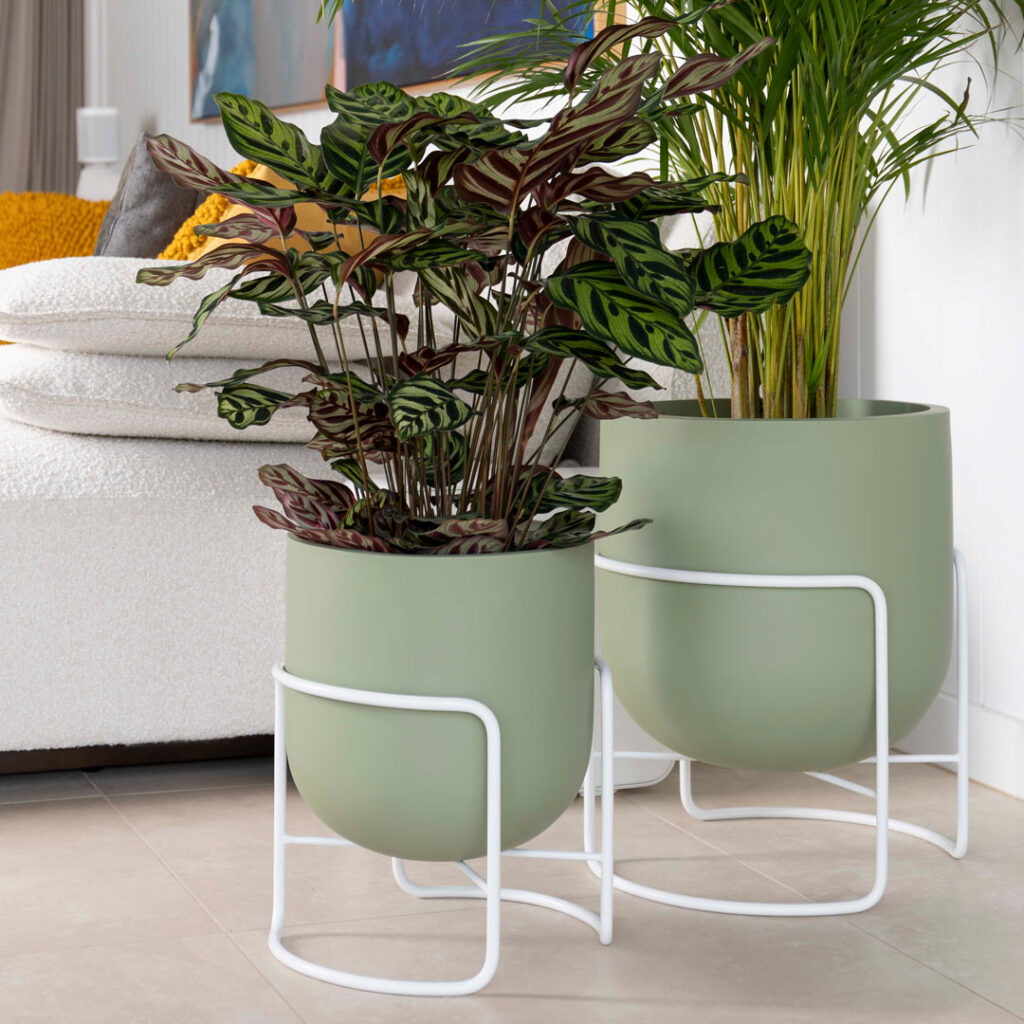 Just Add Plants | Transforming Spaces with Our Lifestyle Planters