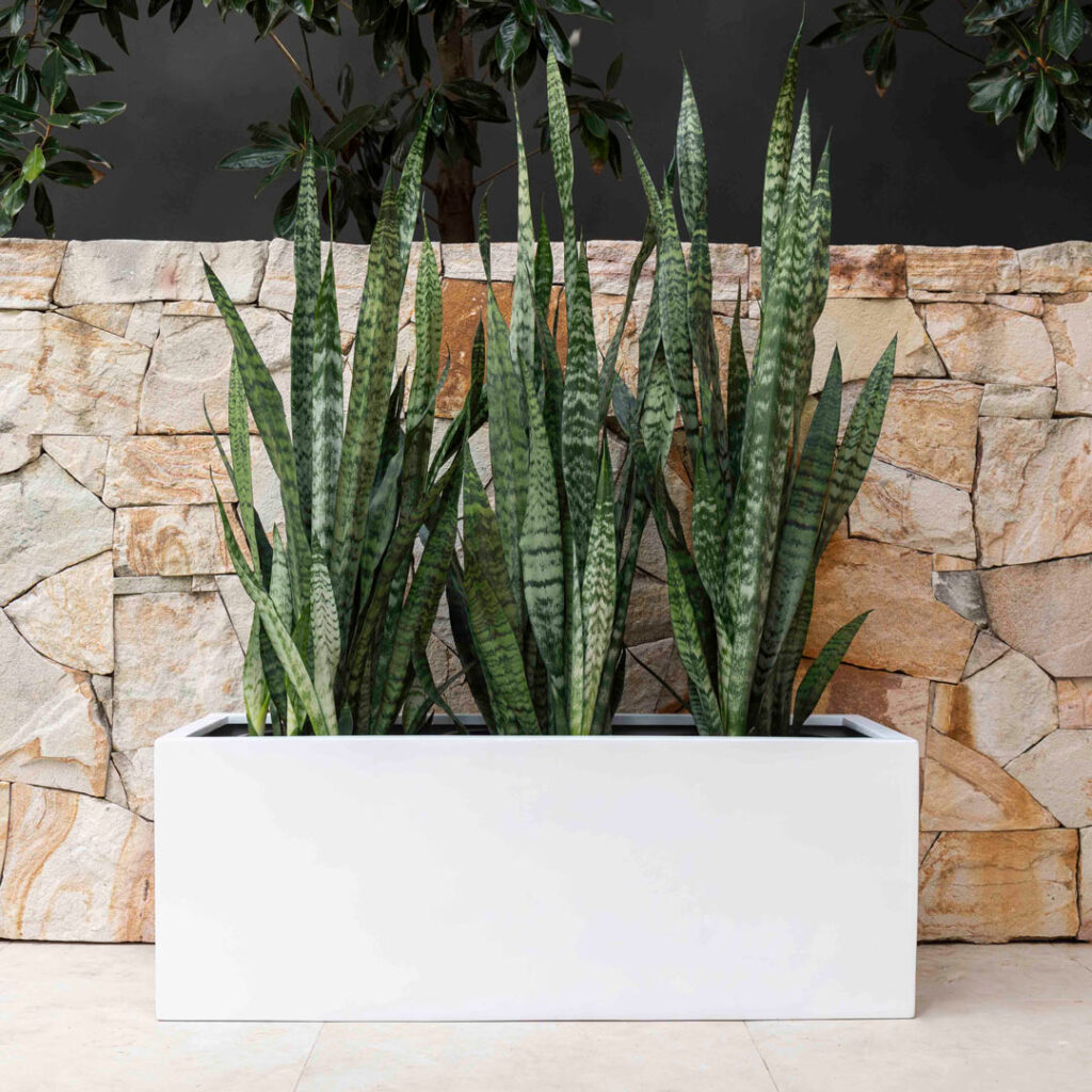 Just Add Plants | Transforming Spaces with Our Lifestyle Planters