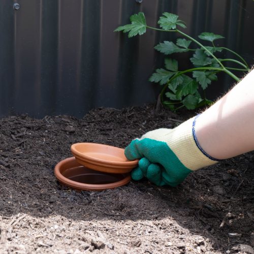 AquaDo Irrigation Pot | Just Add Plants