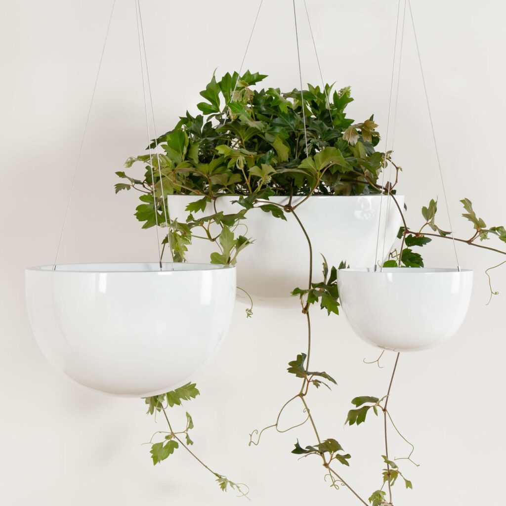 Indoor Self-Watering Planters | Just Add Plants