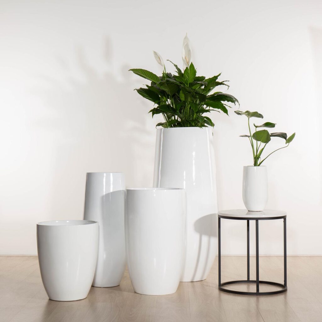 Hendra Vase | Just Add Plants