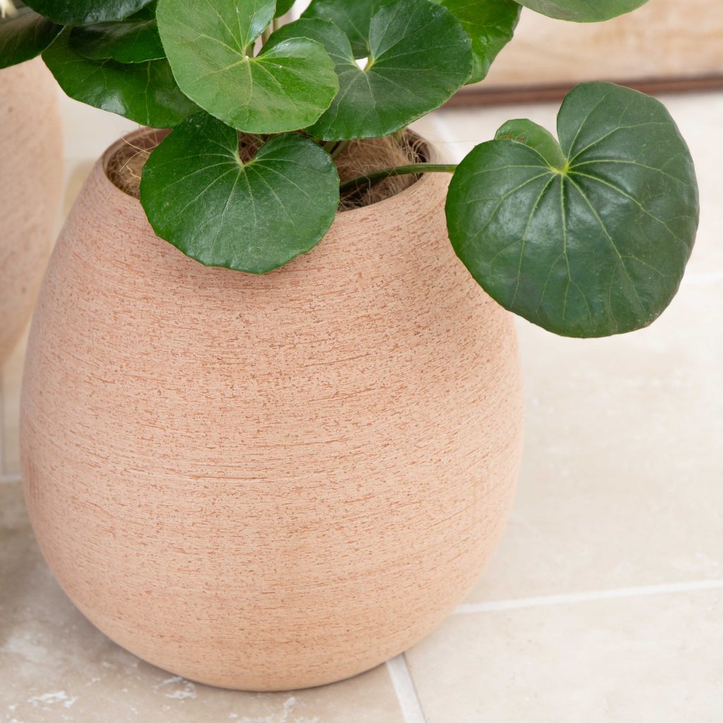 Murano Tall Cup | Just Add Plants