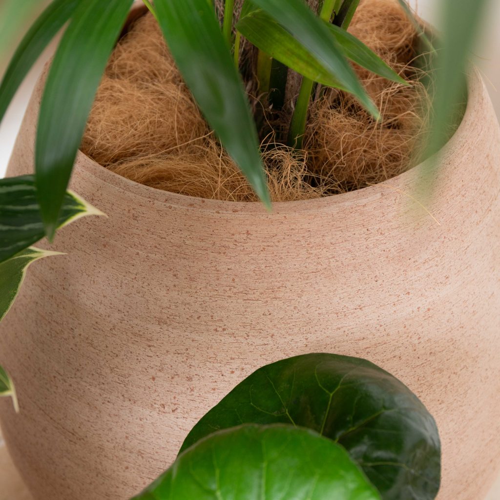 Murano Tall Cup | Just Add Plants