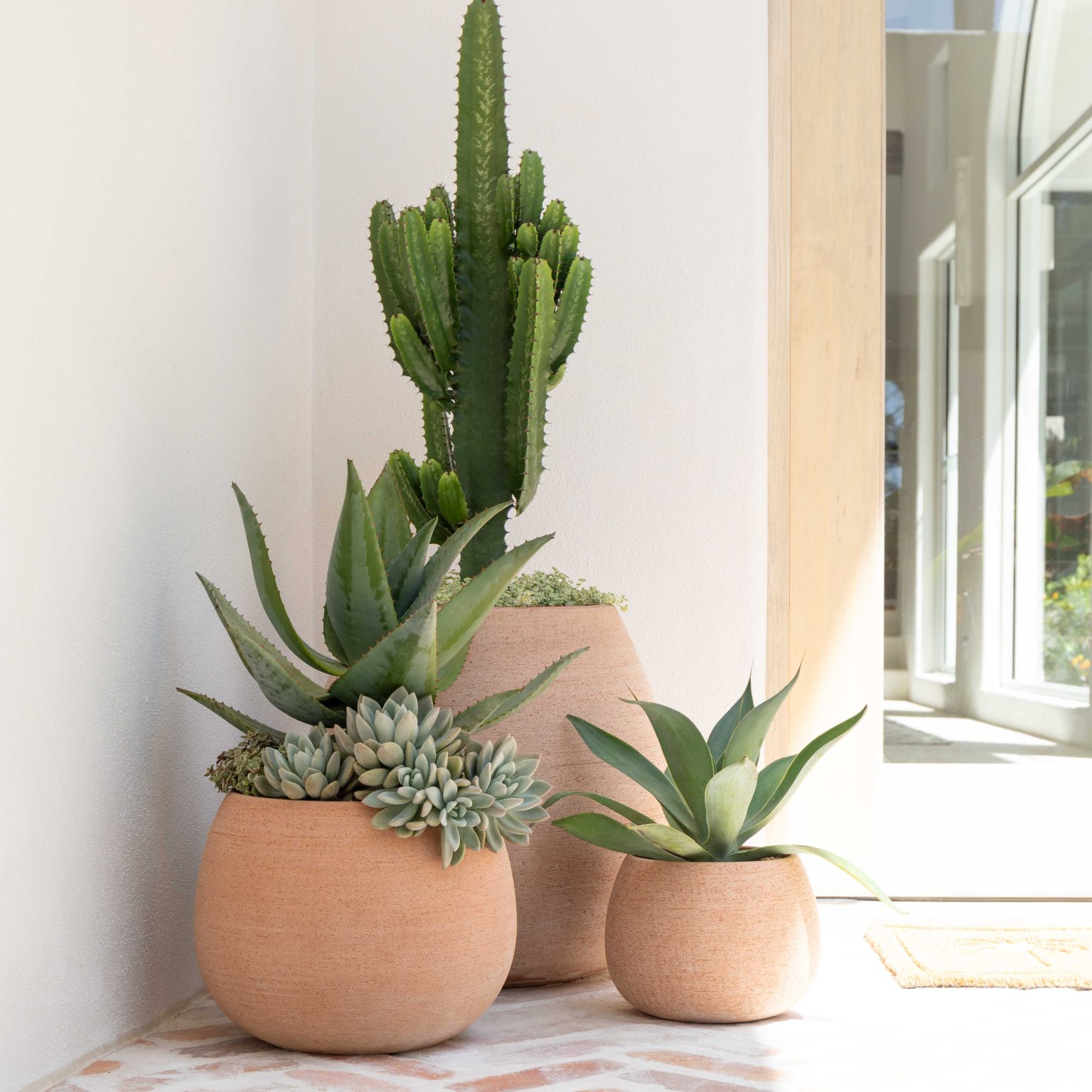 Just Add Plants | Transforming Spaces with Our Lifestyle Planters
