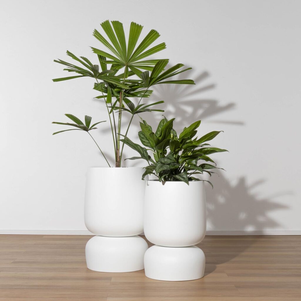 Oulu Vase | Just Add Plants